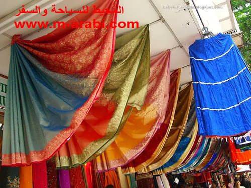 Jamic - JungleKey.be Afbeelding