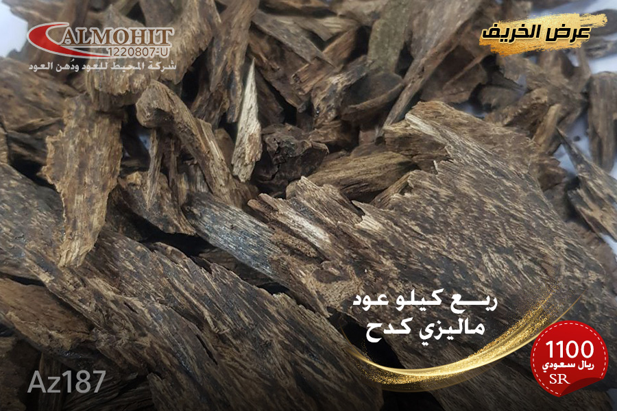 اوقيتين عود ماليزي ازرق Az99 + ربع توله دهن معتق | شركة المحيط للعود ...